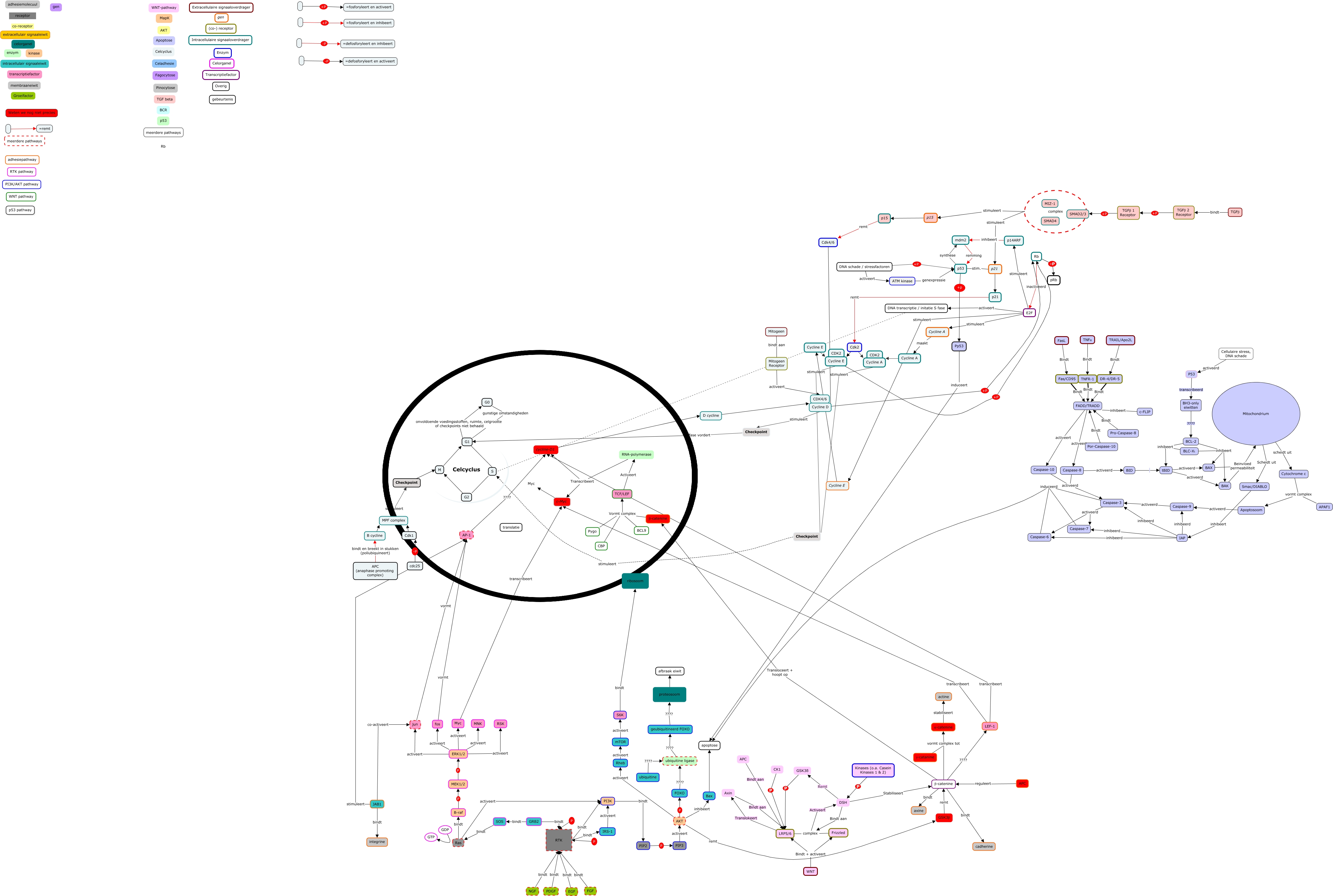 Definitieve CMAP - Dit is het